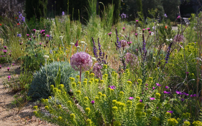 events - British Association of Landscape Industries