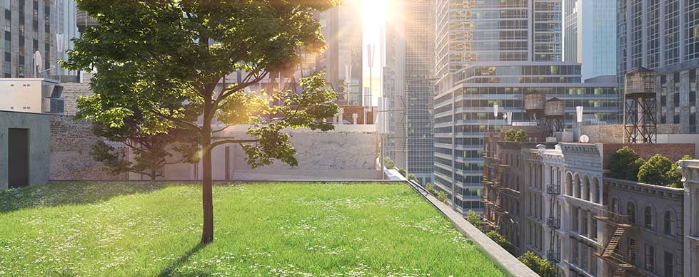 Blue Green Roof Drainage - British Association of Landscape Industries