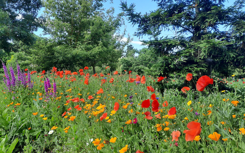 idverde deliver on Stratford-upon-Avon’s vision for visual impact ...