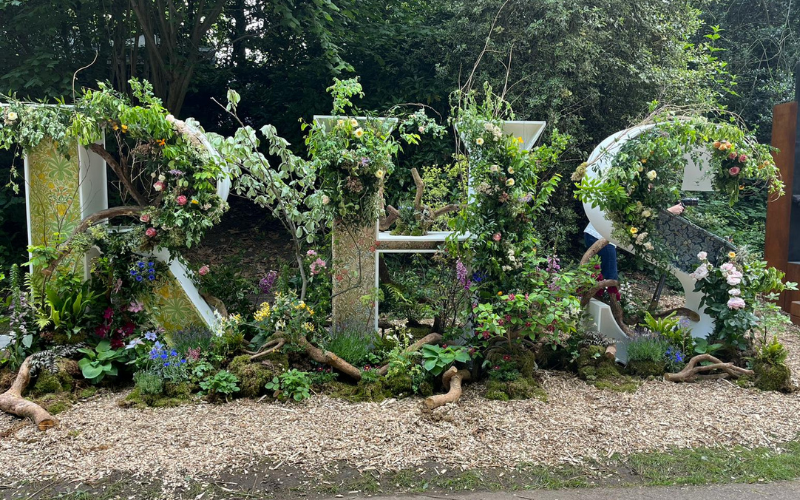Biggest RHS Shows innovations for a generation - British Association of ...