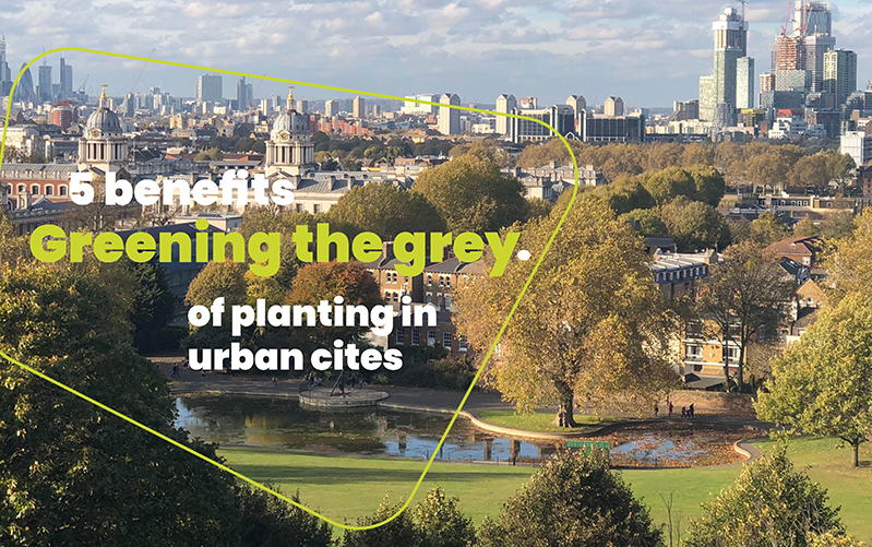 Five benefits of planting in urban cities - British Association of ...