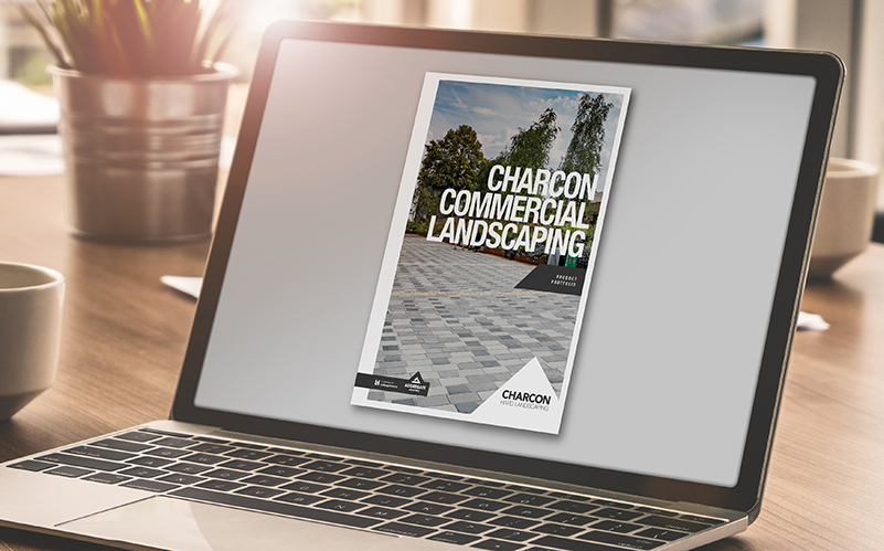 Charcon unveils its new 170 page brochure - British Association of ...