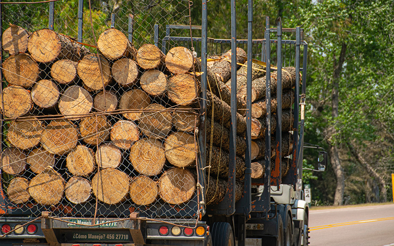 National Highways seeking to tackle load insecurity - British ...