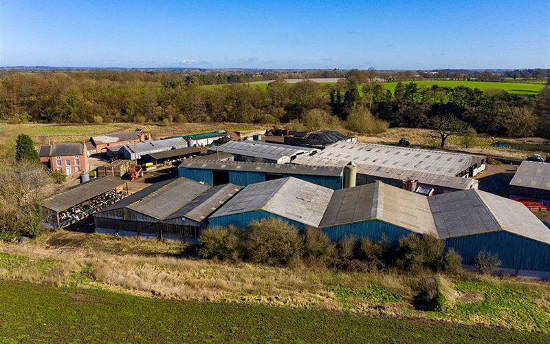 Wildflower Turf increases capacity to meet demand - British Association ...