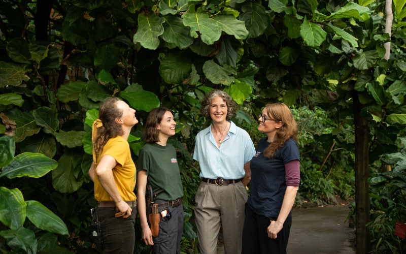 Fauna & Flora Show Garden: countdown to Chelsea Flower Show - British ...