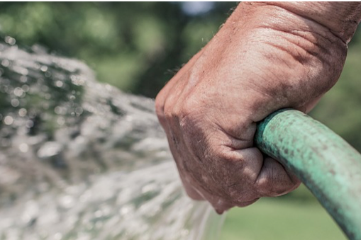 Water use by landscape professionals - British Association of Landscape ...