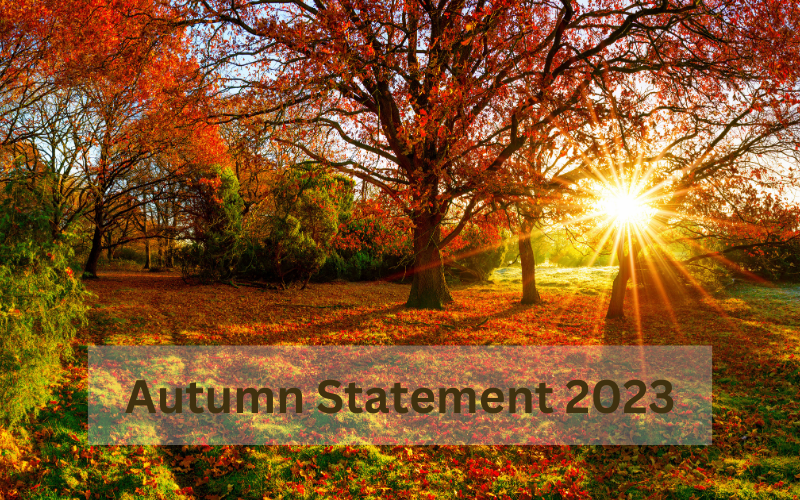 Autumn Statement 2023! - British Association of Landscape Industries
