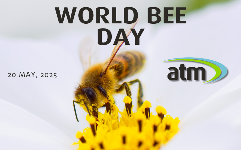How ATM Champions Biodiversity Net Gain on World Bee Day and Beyond ...