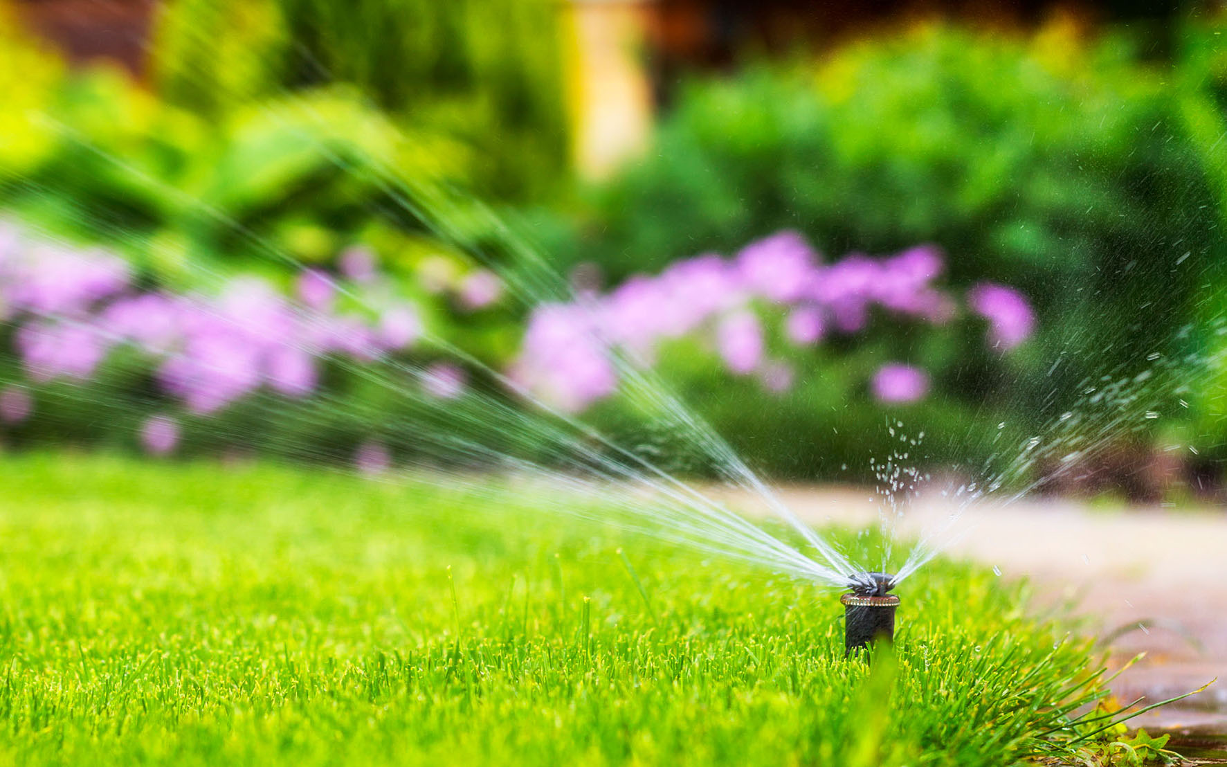 Bespoke garden irrigation solutions from Bosta UK - British Association ...