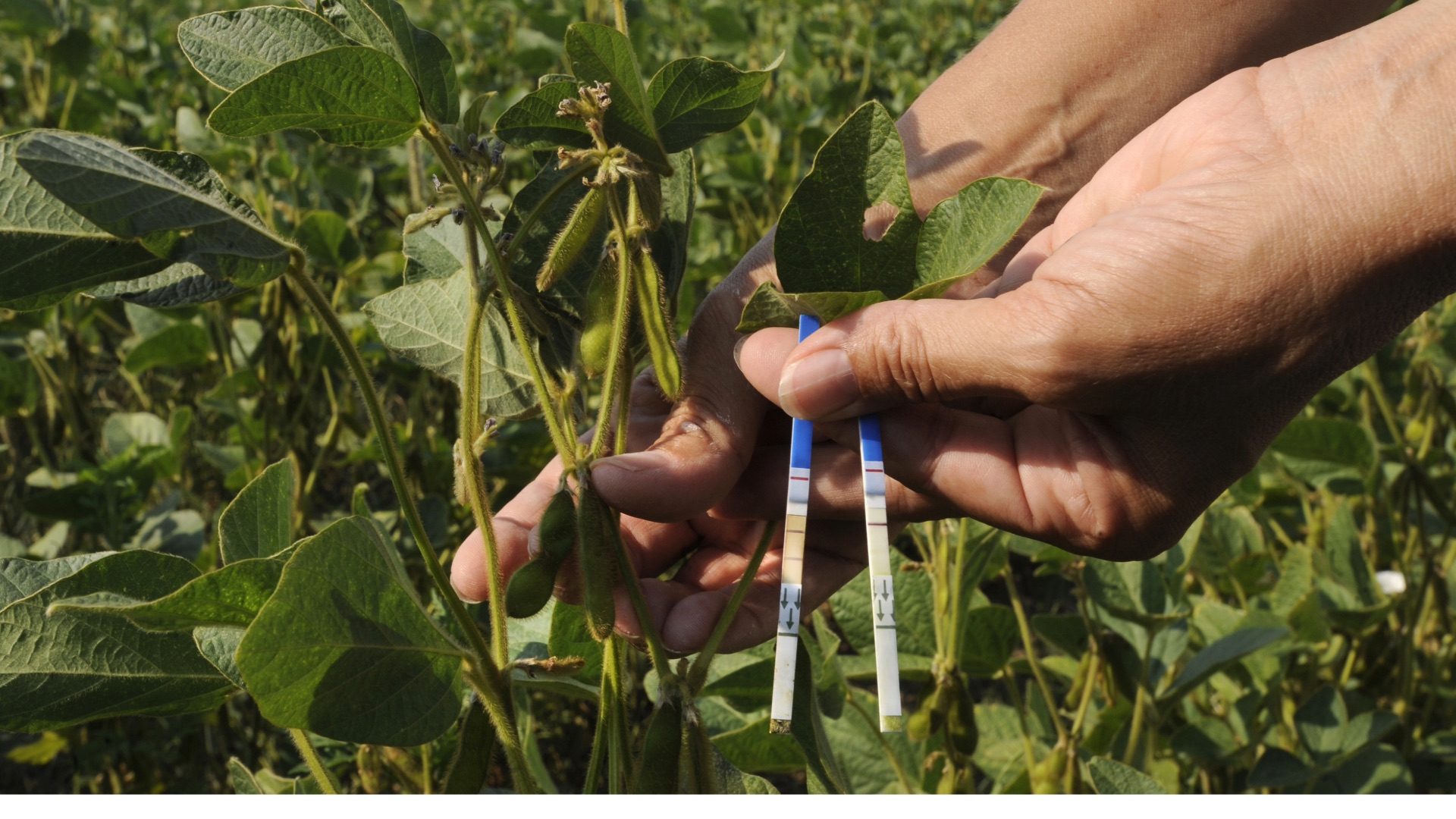 Border Target Operating Model introduced this week - British ...