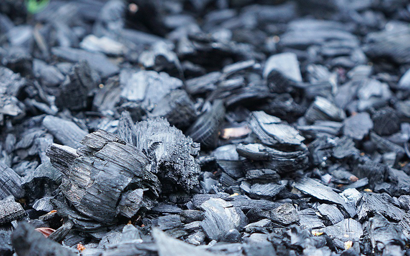 Find out how Biochar can improve the environment - British Association ...