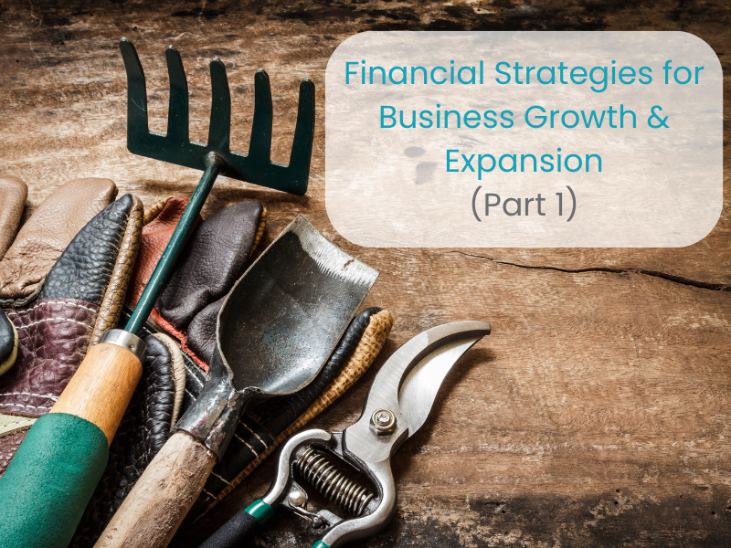 Financial Strategies for Business Growth and Expansion (Part 1 ...