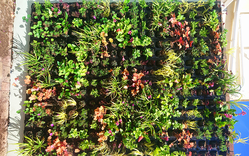 Platipus Anchors G-WALL system proves effective - British Association ...