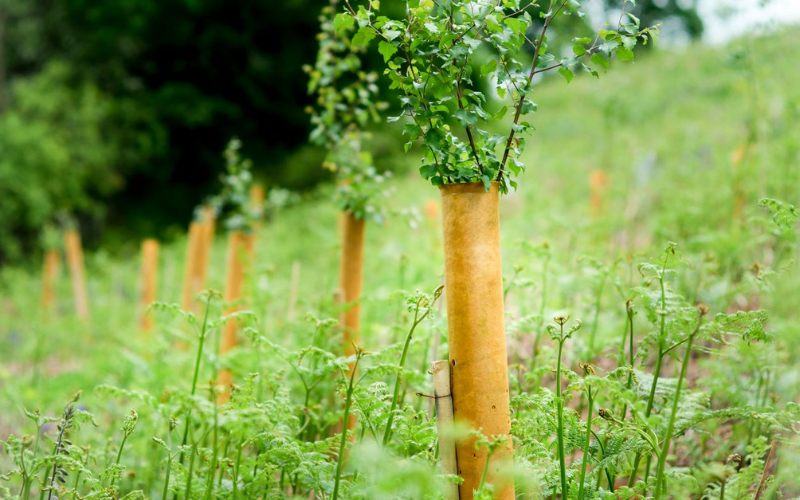 Green-tech announces the addition of 100% biodegradable NexGen Tree ...