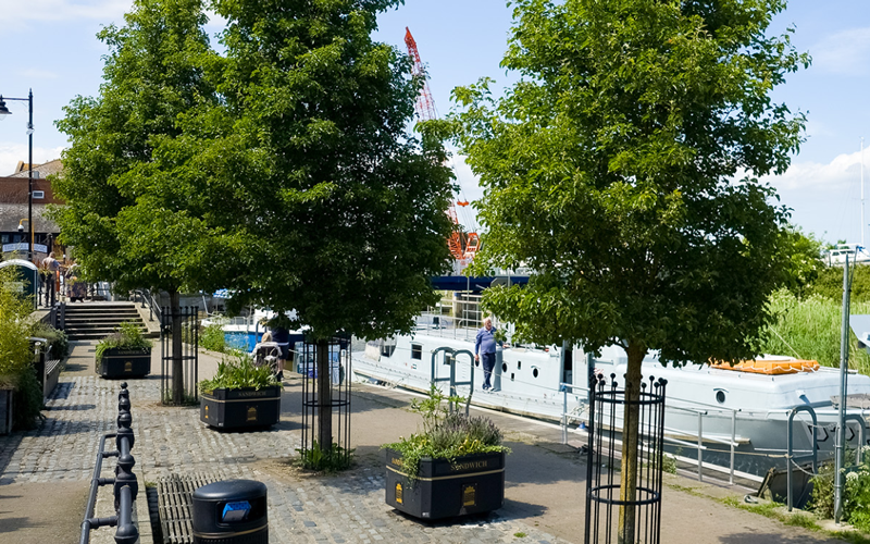 The implications of value engineering in tree pit installation ...