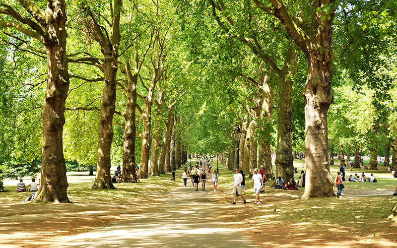 The importance of greenspace highlighted - British Association of ...