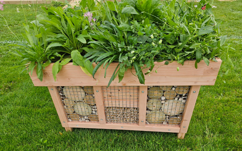 Harrowden Turf shares Biodiversity Net Gain solution - British ...