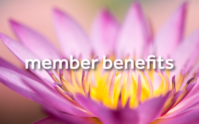 The key to unlocking your Association member benefits - British ...