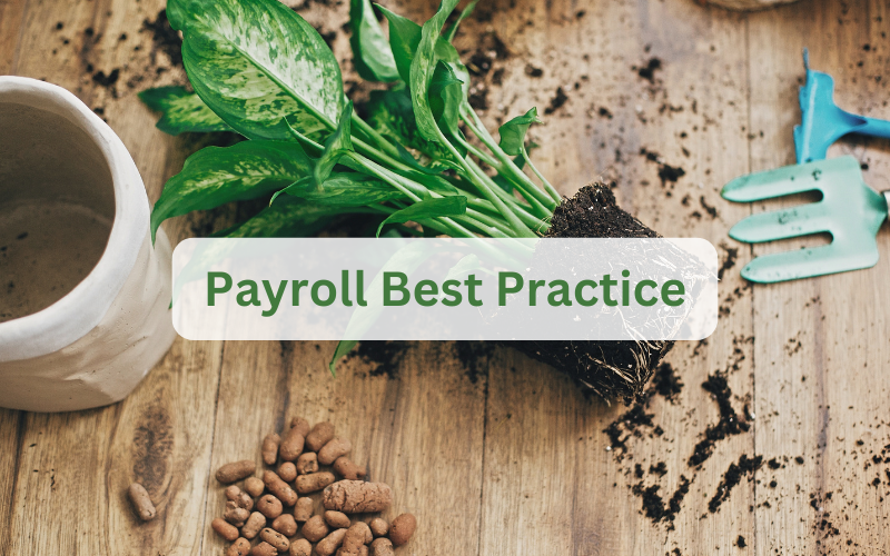Payroll best practice - British Association of Landscape Industries
