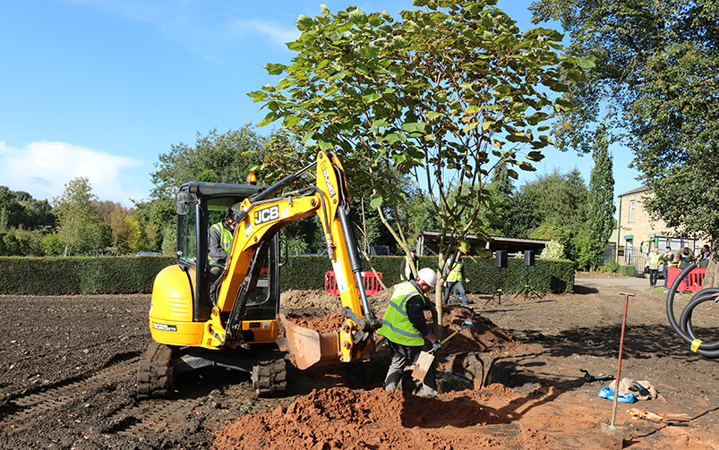 Tree planting event heralded a great success - British Association of ...