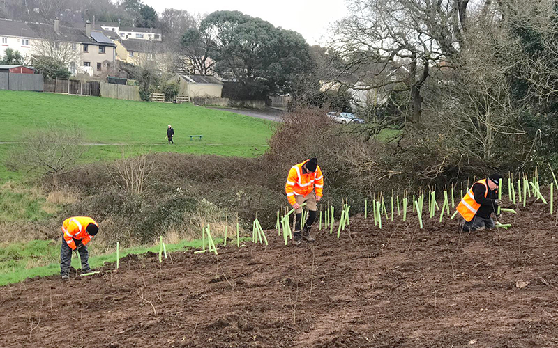 1,500 trees planted in Teignbridge by idverde - British Association of ...