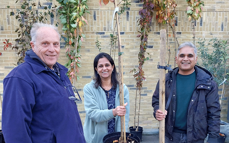 Provender Nurseries and Ebbsfleet Development Corporation collaborate ...