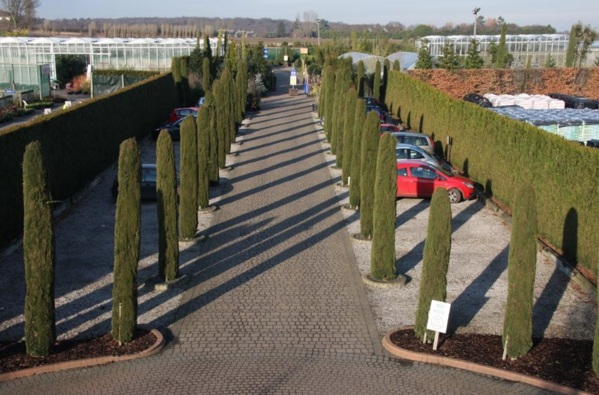 Provender Nurseries' Spring Preview event a roaring success - British ...