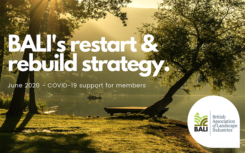 BALI announces COVID-19 restart & rebuild strategy - British ...