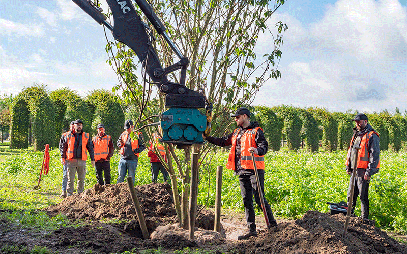Knowledge Week 2025 – Handling, Transport & Planting Big Trees ...